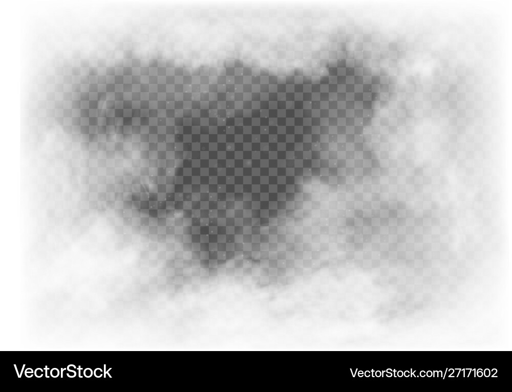Fog and smoke isolated on transparent background Vector Image