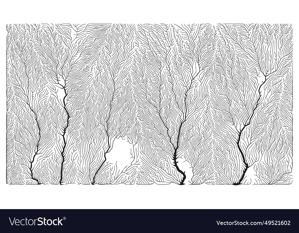 Growth pattern generative branching structure Vector Image