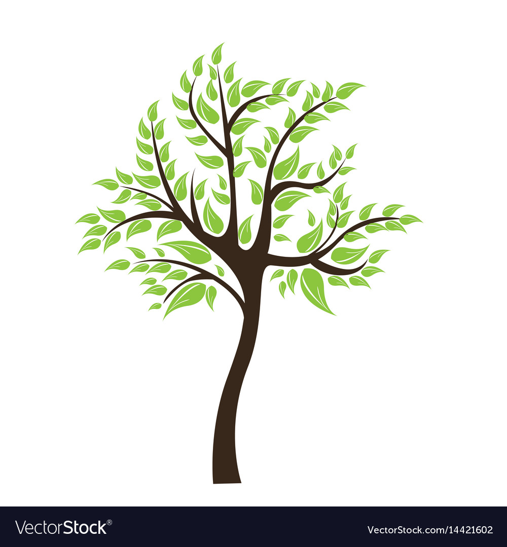 Tree Royalty Free Vector Image - VectorStock