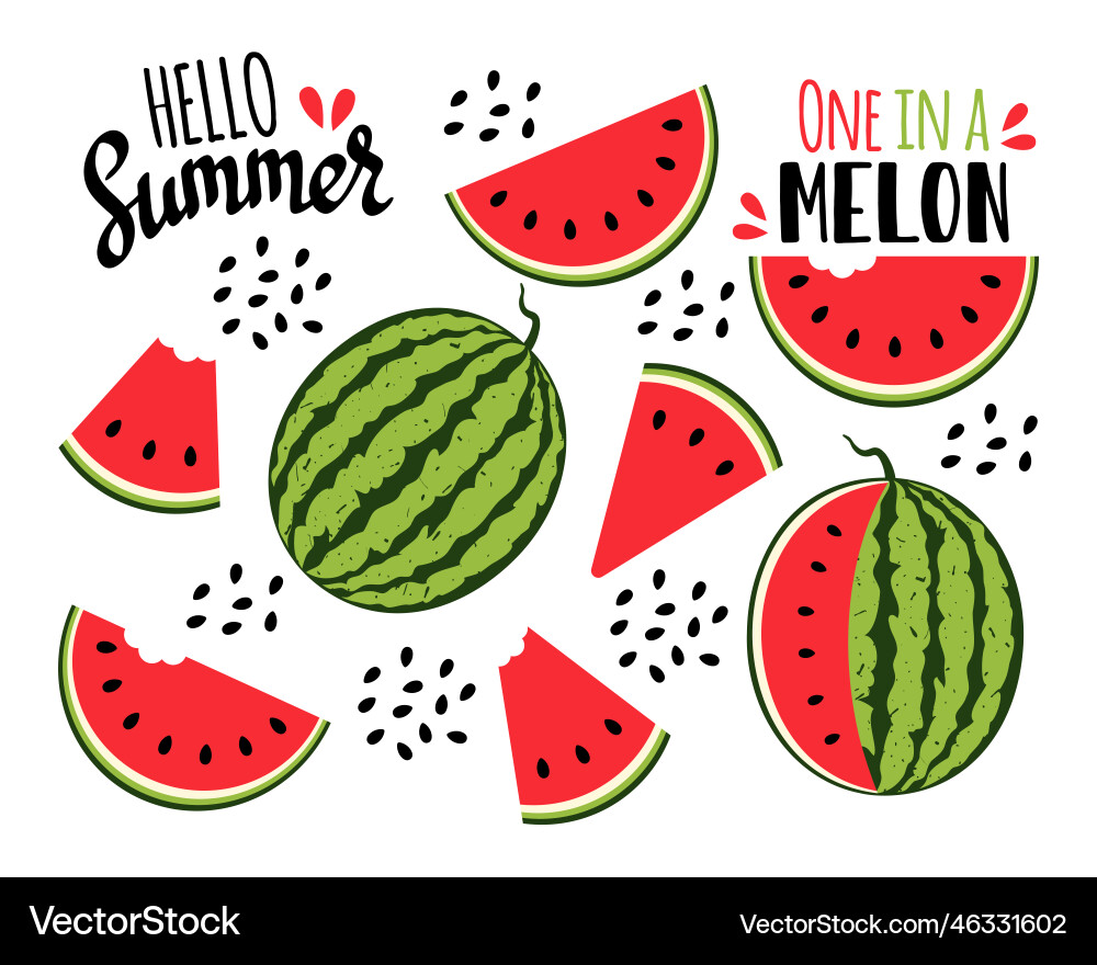 Watermelon collection slices and seeds Royalty Free Vector