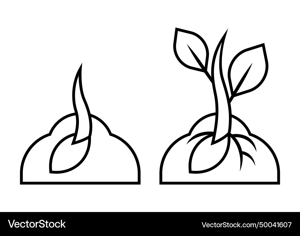 Grown sprout from seed agricultural cultivation Vector Image