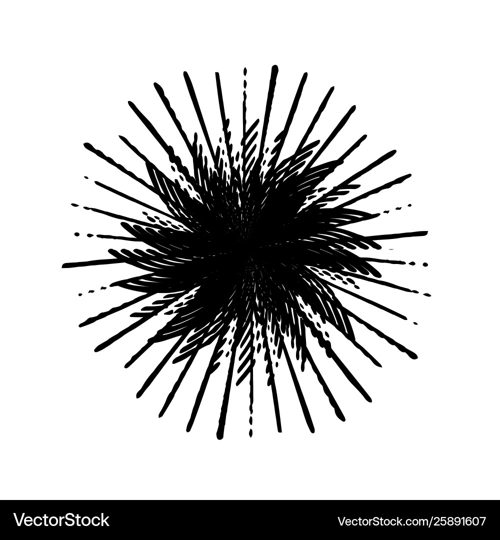 Grunge burst stamp Royalty Free Vector Image - VectorStock