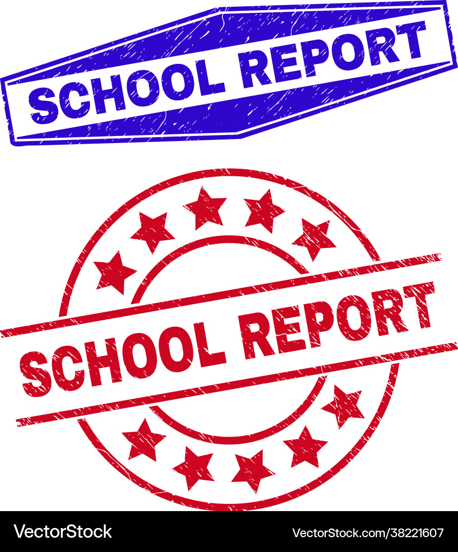 School report unclean watermarks in round Vector Image