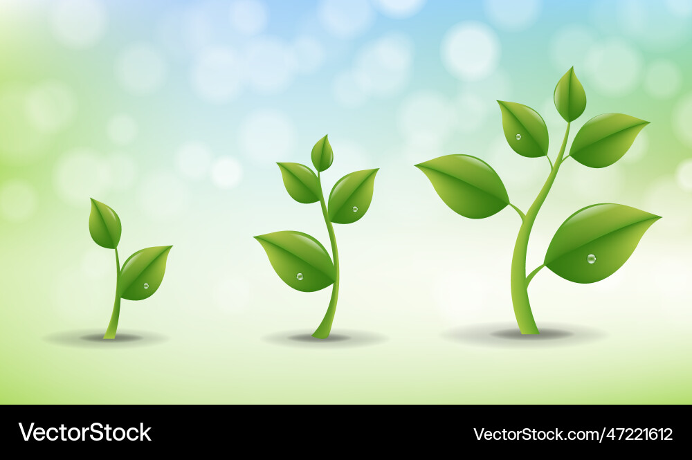 Green sprout set with water drop nature background