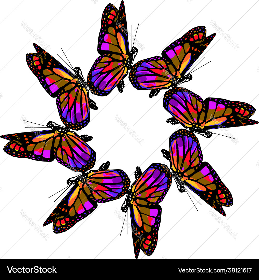 Beautiful monarch butterfly isolated on white Vector Image