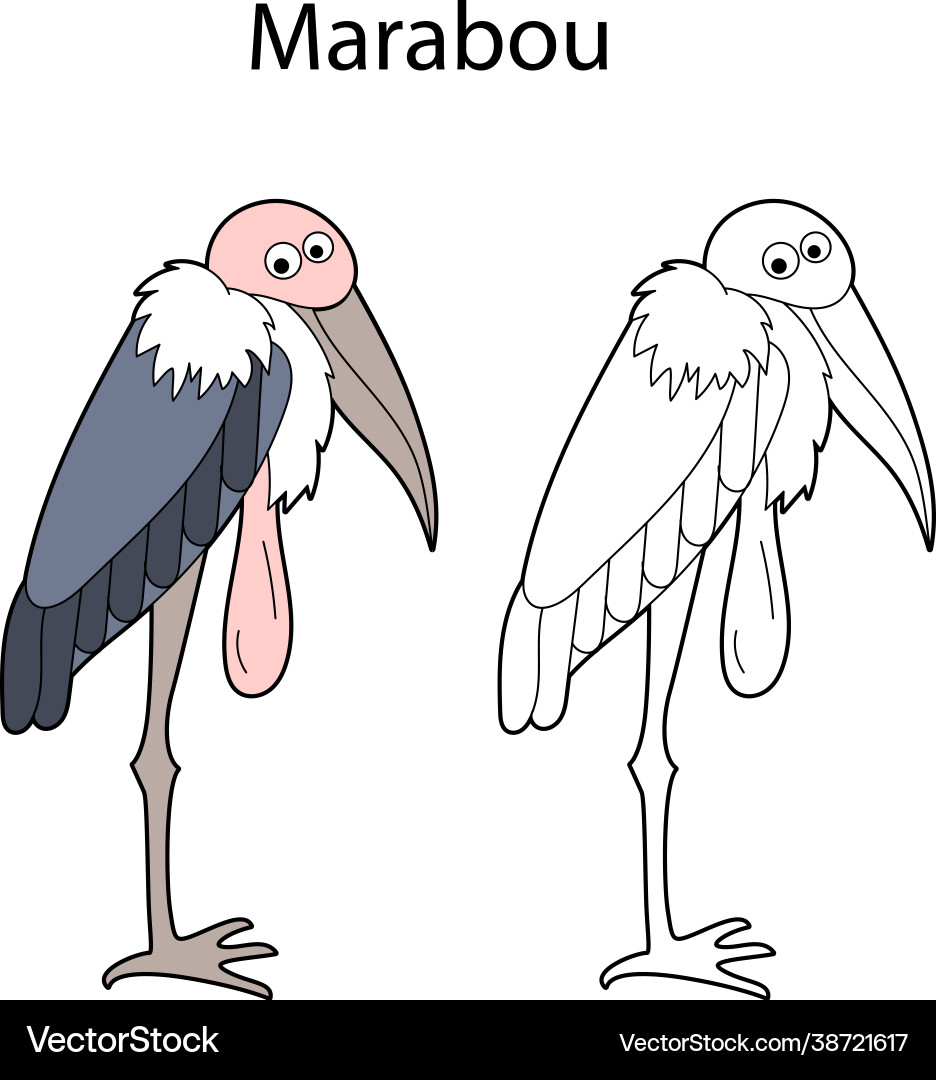 Funny cute bird marabou isolated on white Vector Image