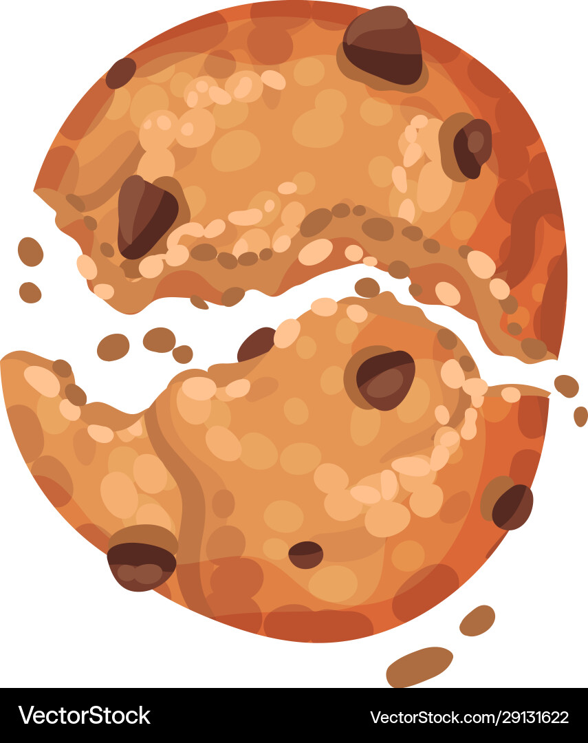 Oatmeal cookie with chocolate crumbs isolated Vector Image