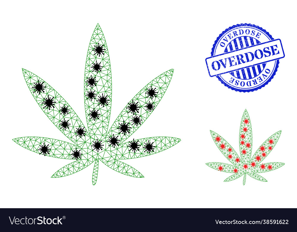 Wire frame mesh cannabis pictograms with virus Vector Image Wire frame mesh cannabis pictograms with virus Vector Image
