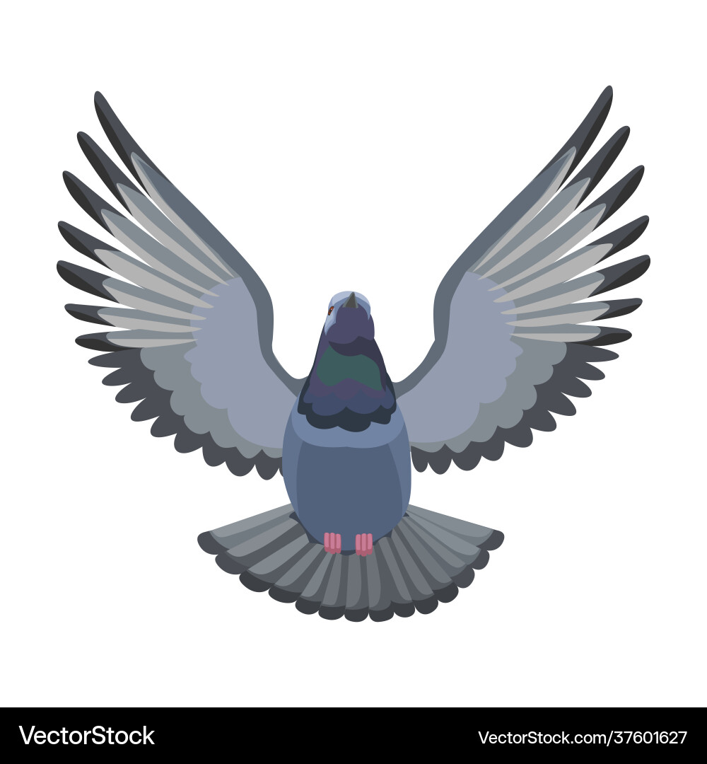 Dove iconcartoon icon isolated Royalty Free Vector Image
