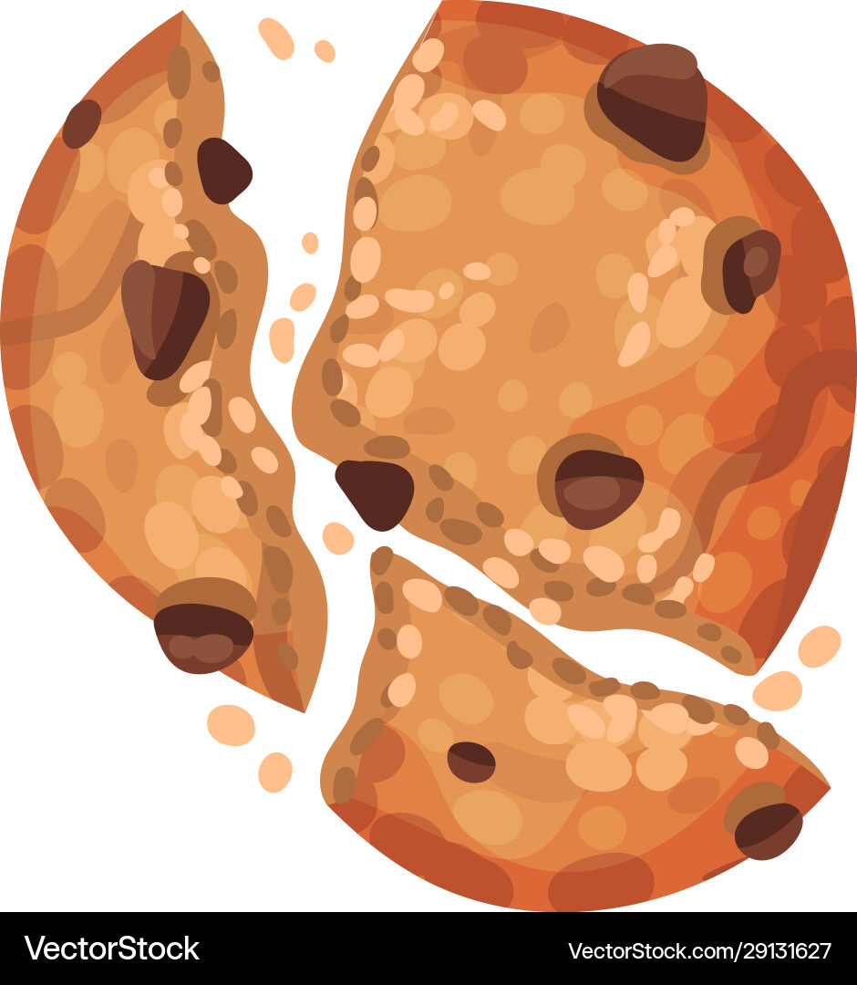 Oatmeal cookie with chocolate crumbs isolated Vector Image