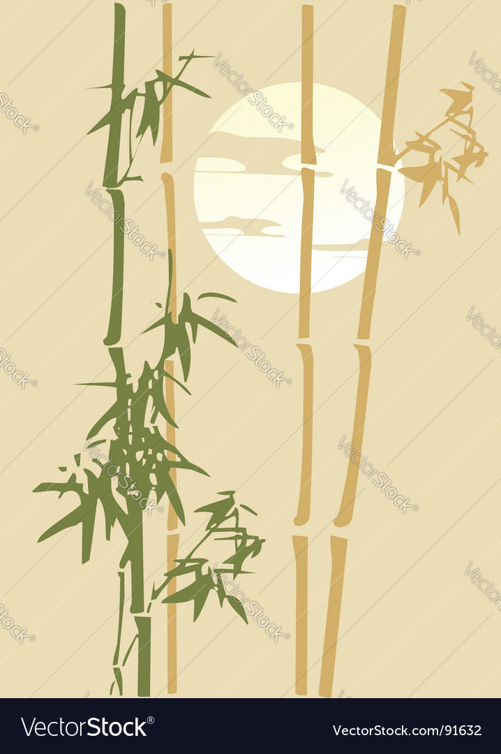 Bamboo background Royalty Free Vector Image - VectorStock