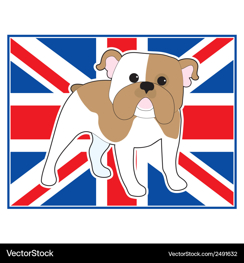English Bulldog Flag Royalty Free Vector Image
