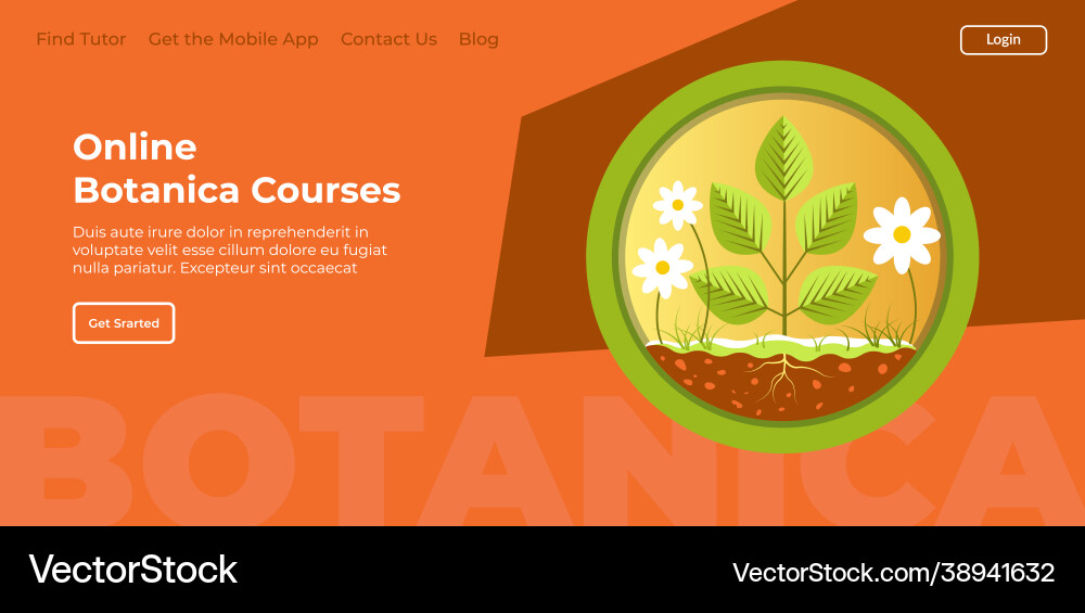 Online botanica courses and lessons at website Vector Image