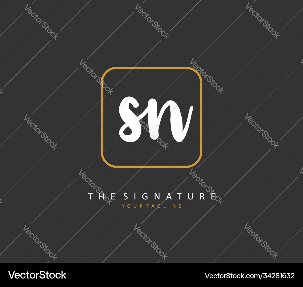 S n sn initial letter handwriting and signature Vector Image