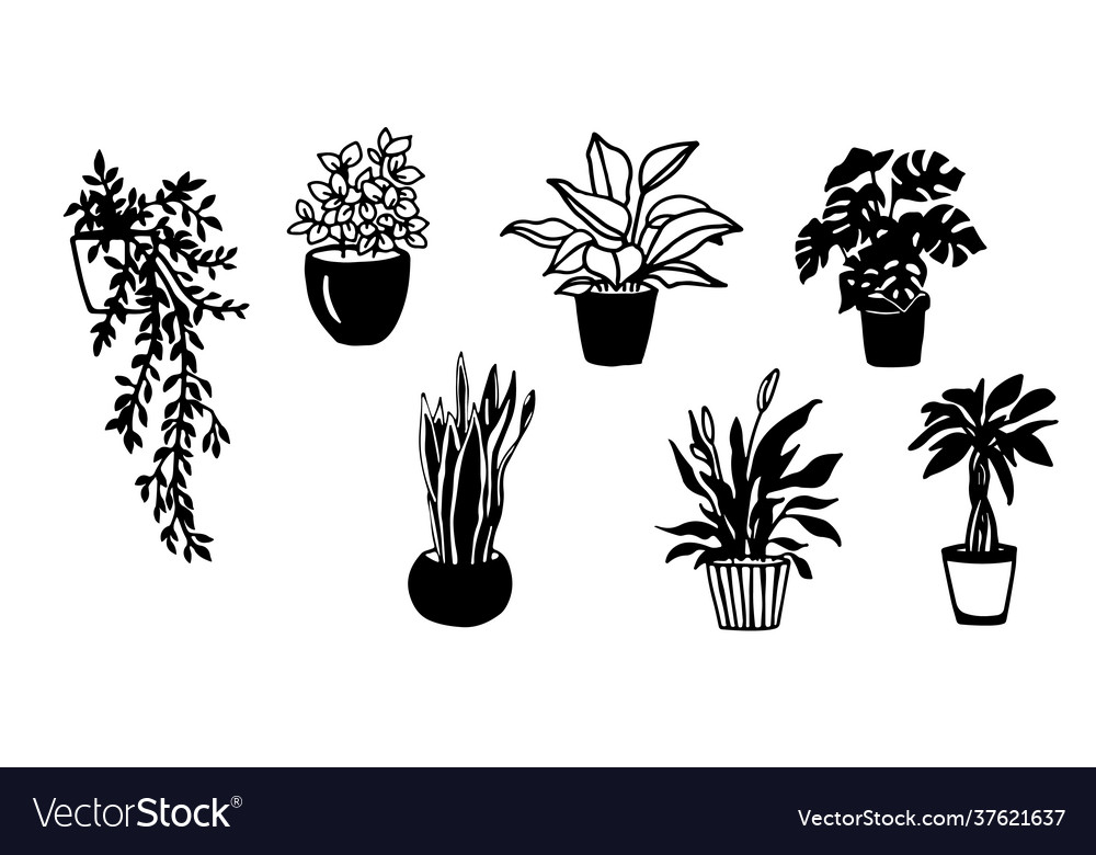 Silhouettes house plants in pot Royalty Free Vector Image