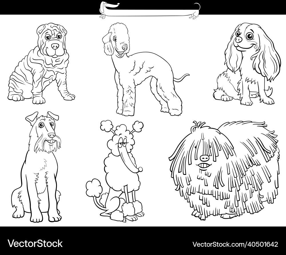 Cartoon purebred dogs comic characters set Vector Image