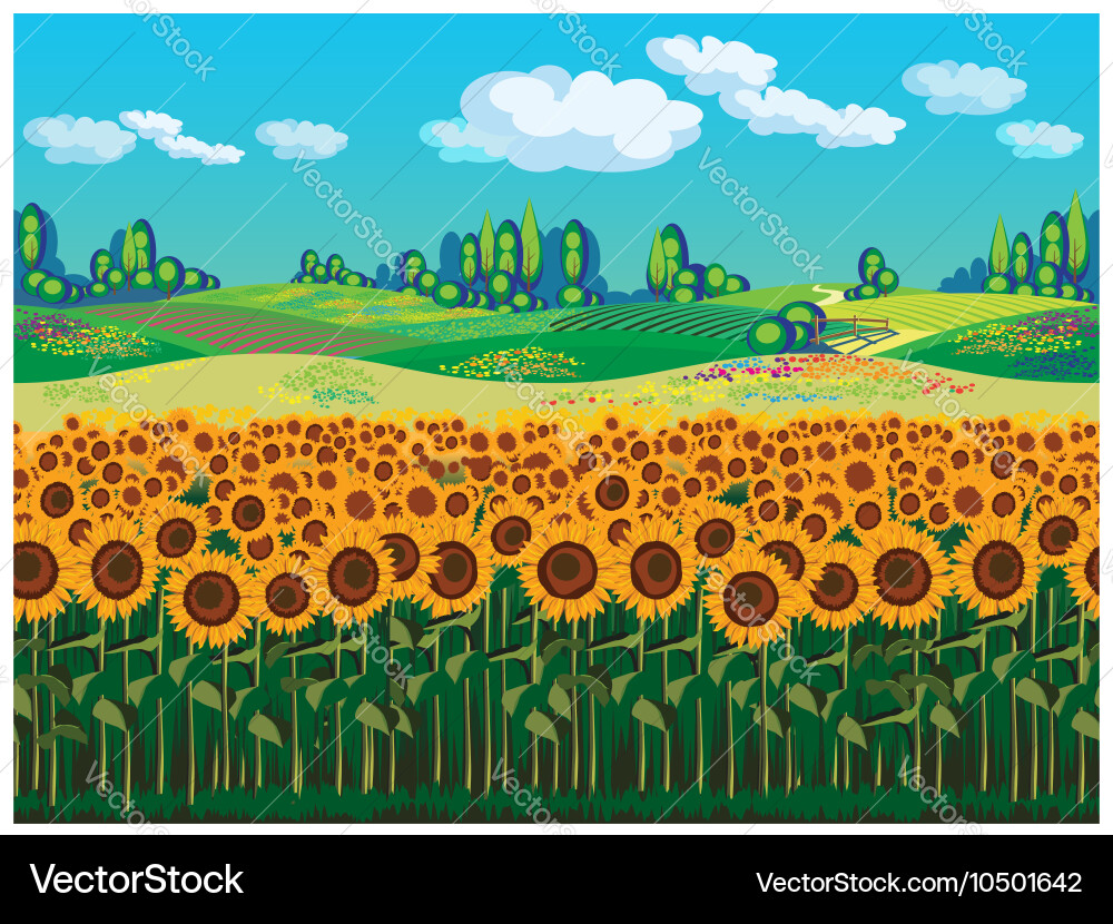 Scenic landscape with sunflowers Royalty Free Vector Image