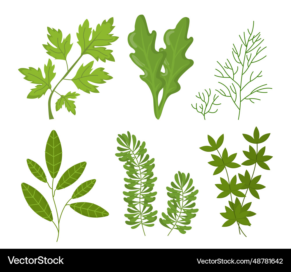 Set of green plants concept Royalty Free Vector Image