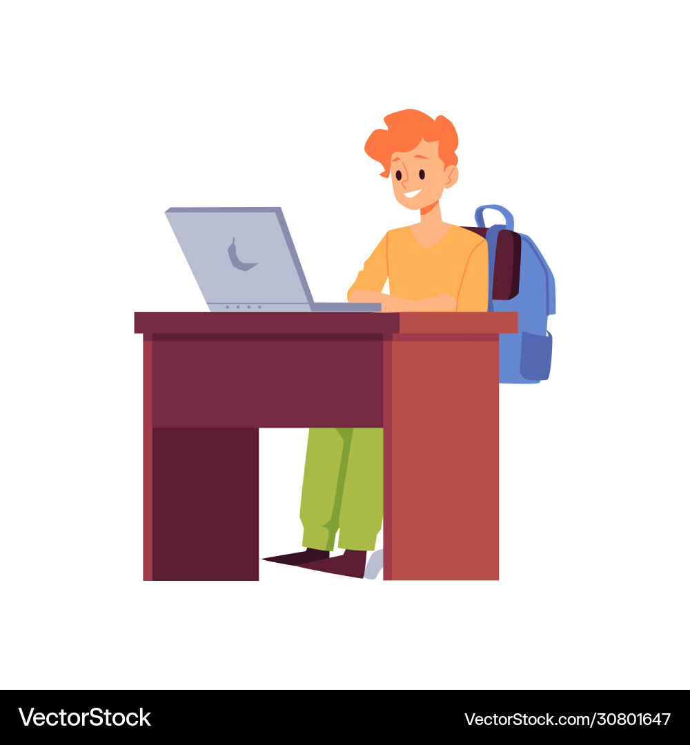 Elementary school boy using laptop at class Vector Image