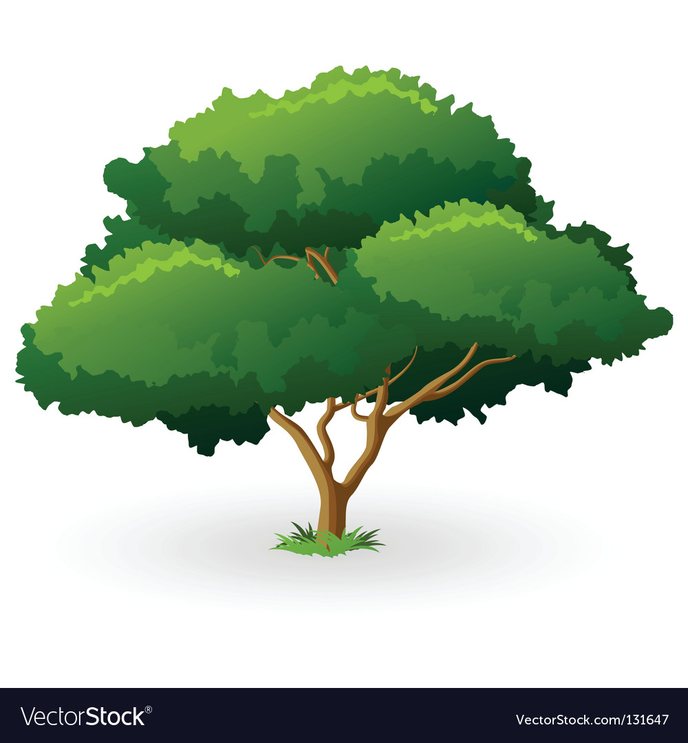 Green tree Royalty Free Vector Image - VectorStock