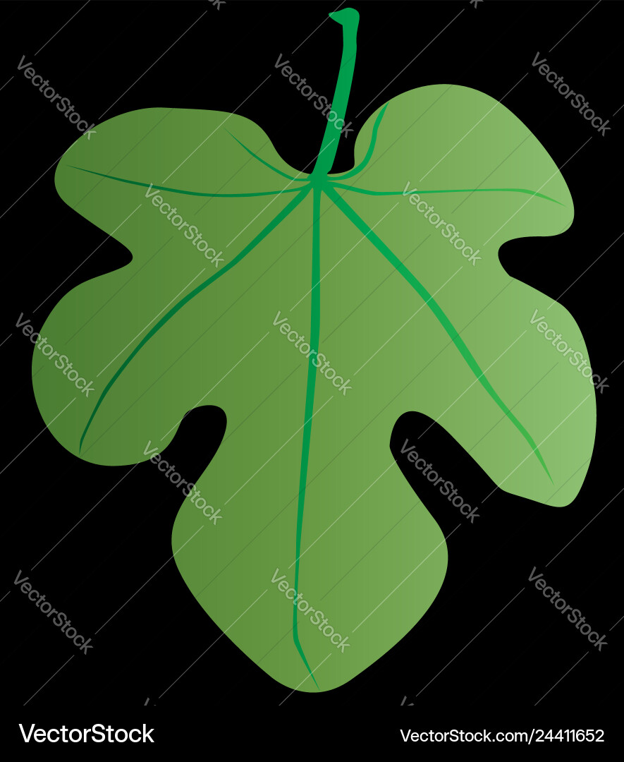 Leaf Royalty Free Vector Image - VectorStock