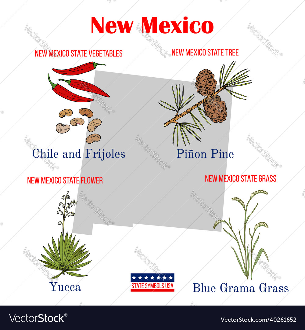 New mexico set of usa official state symbols Vector Image