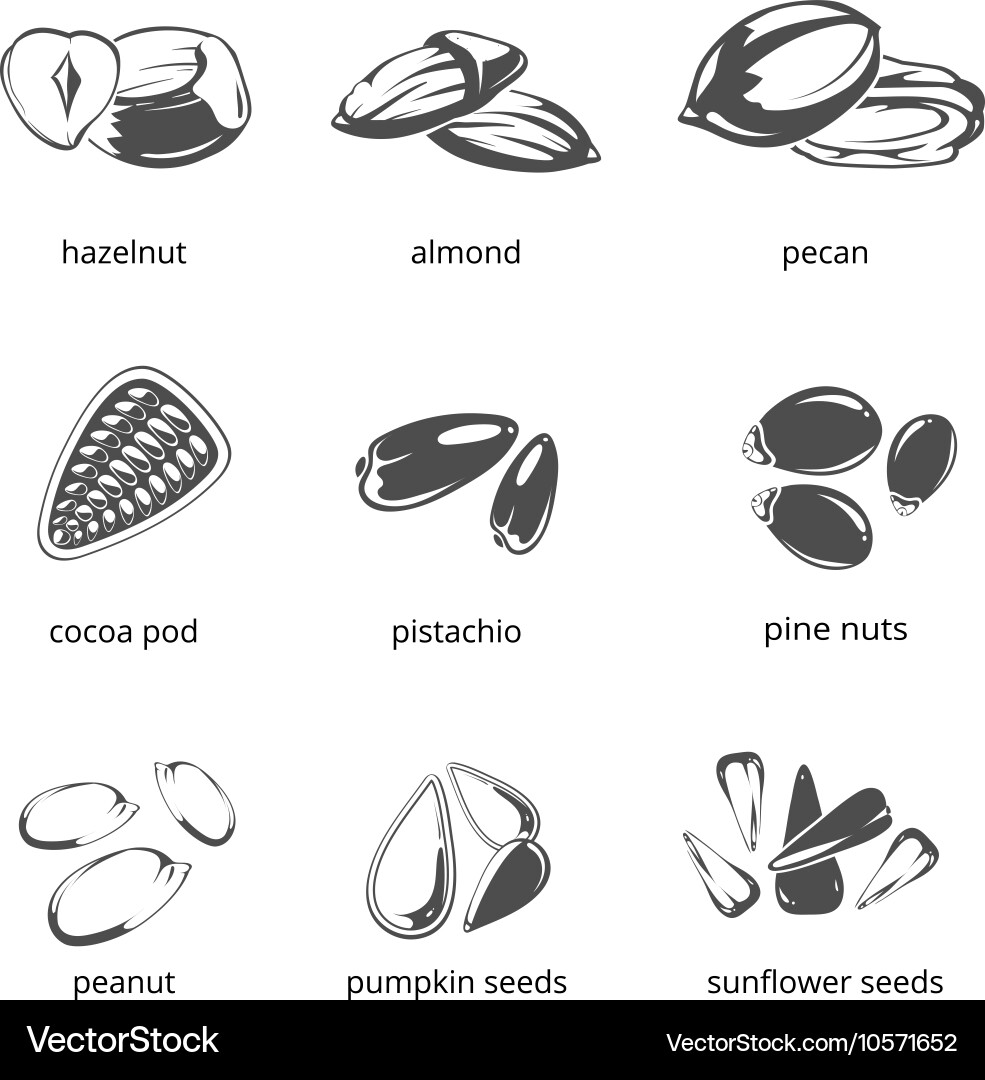 Seeds and nuts monochrome icons Royalty Free Vector Image