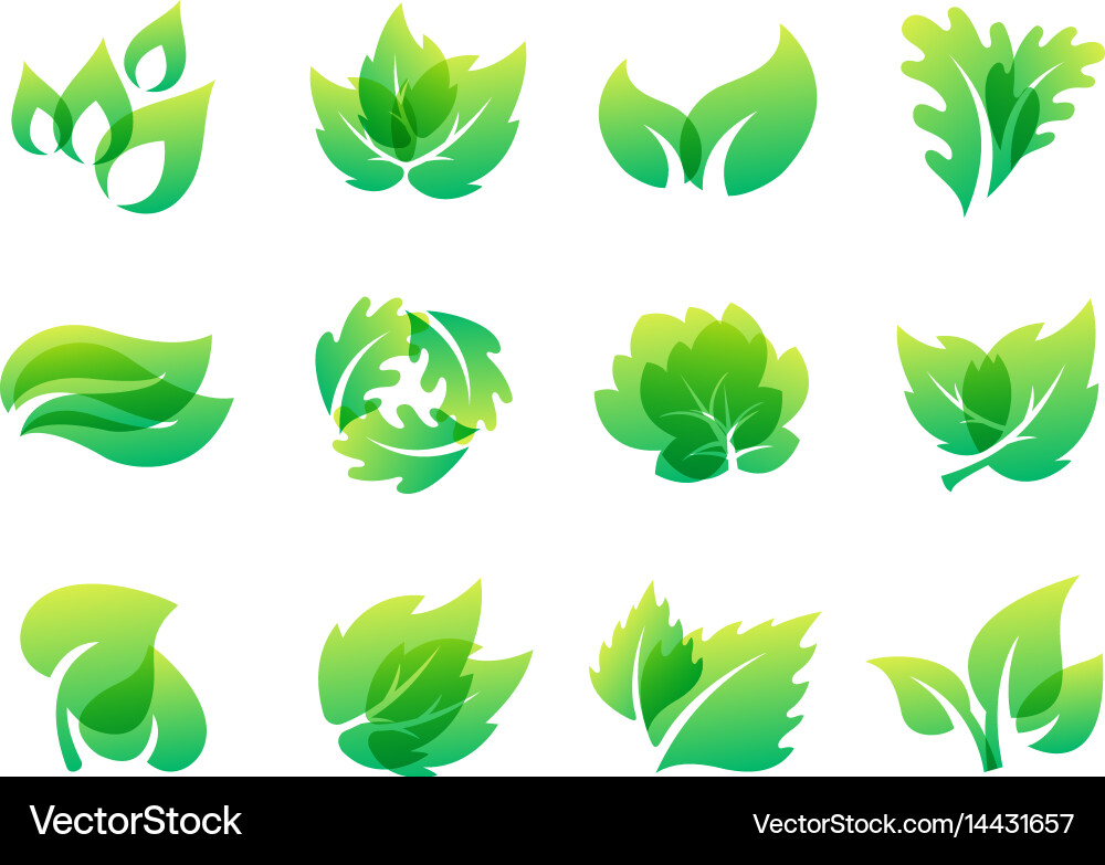 Green leaf eco design friendly nature elegance Vector Image