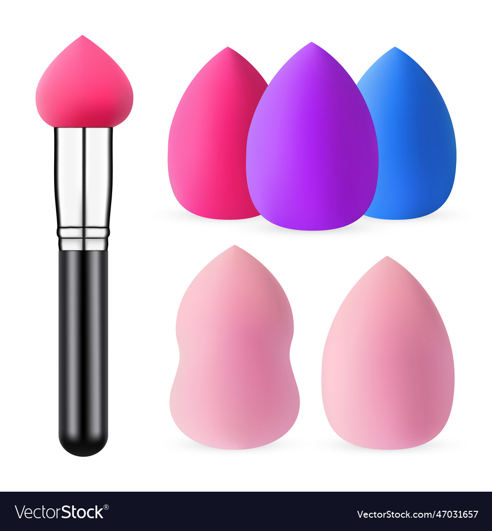 Makeup sponge tools set Royalty Free Vector Image