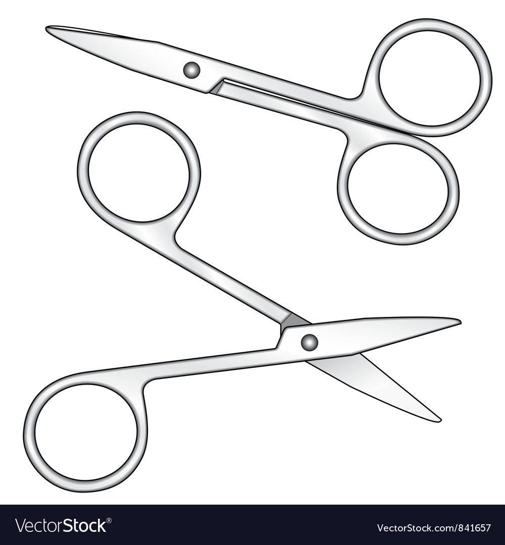 Scissors Royalty Free Vector Image - VectorStock