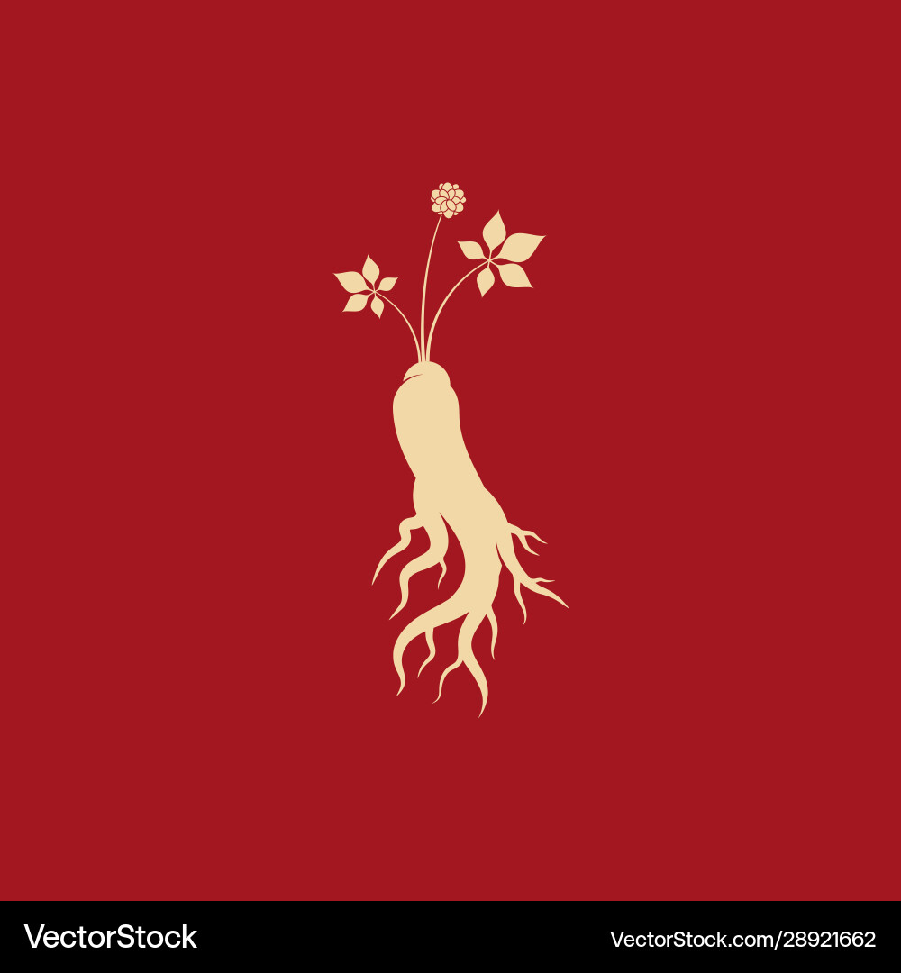 Ginseng icon Royalty Free Vector Image - VectorStock