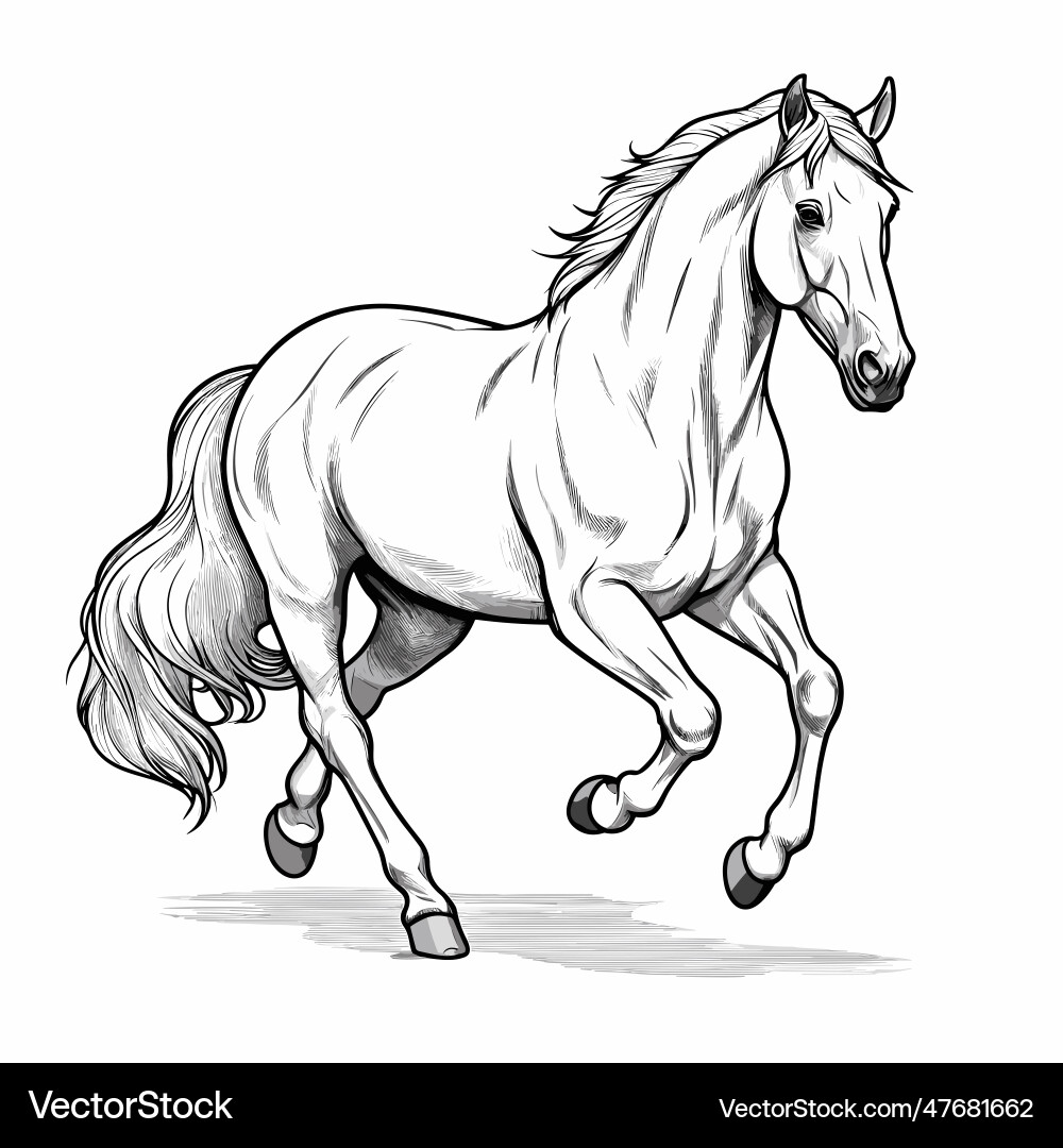 Stallion hand-drawn doodle style cartoon Vector Image