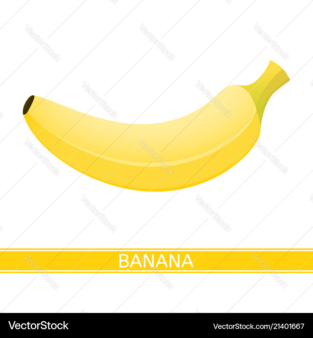 Banana isolated on white Royalty Free Vector Image