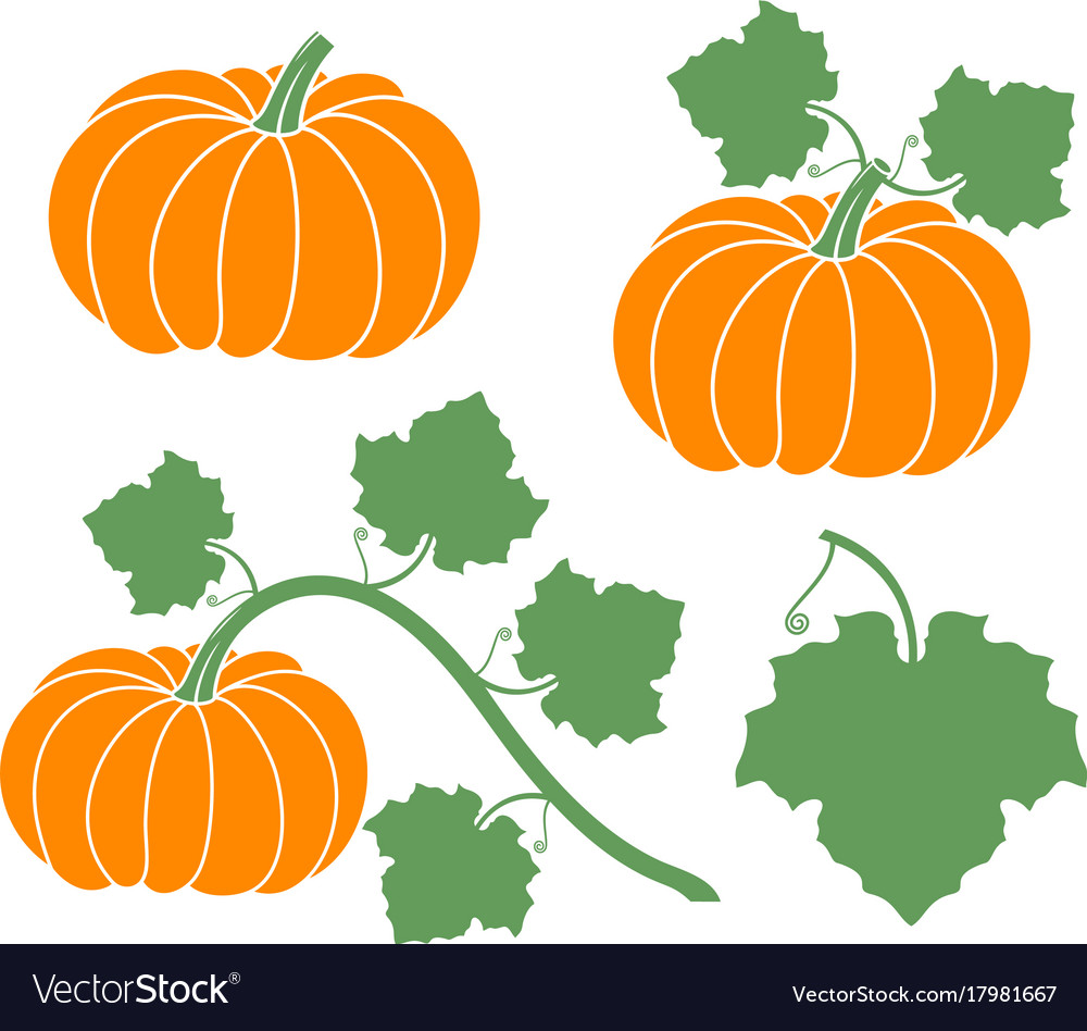 Pumpkin set Royalty Free Vector Image - VectorStock