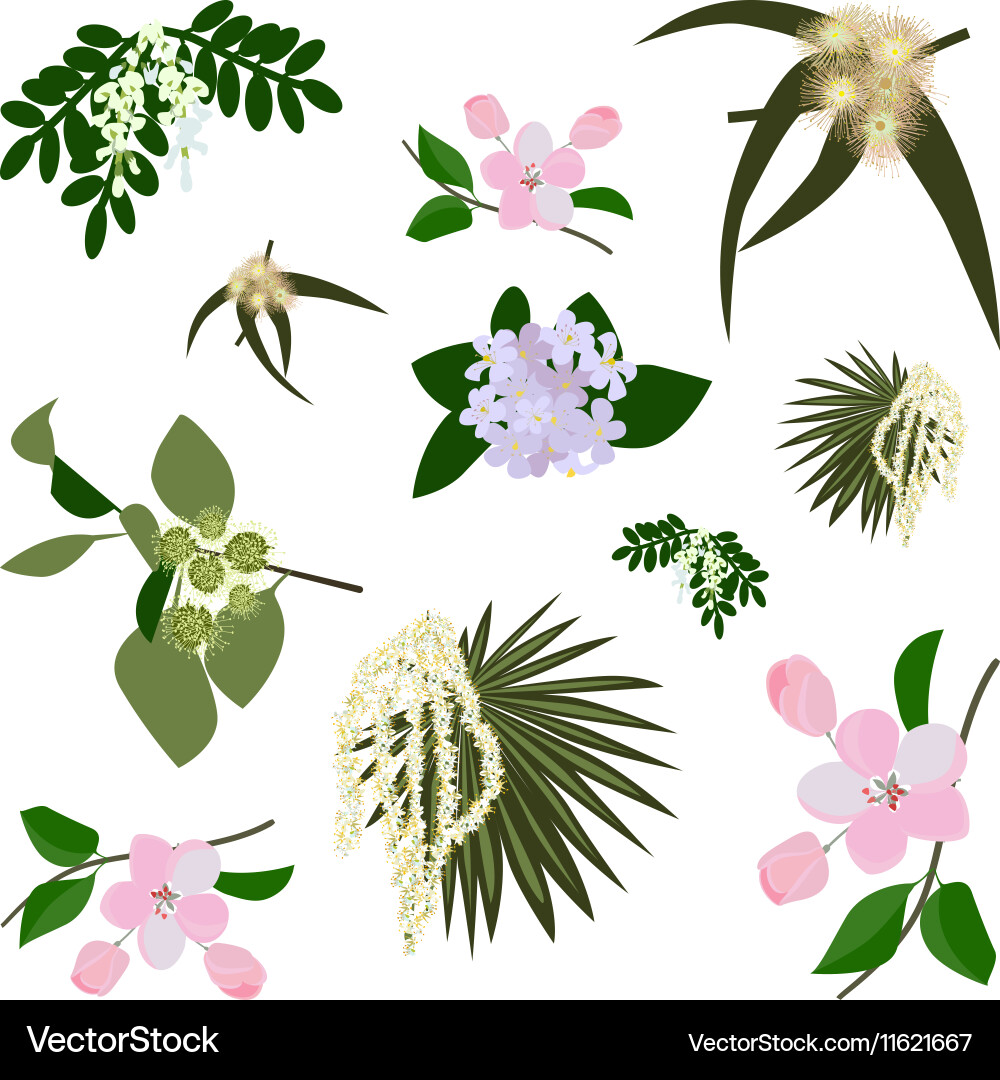 Set of wild flowers Royalty Free Vector Image - VectorStock