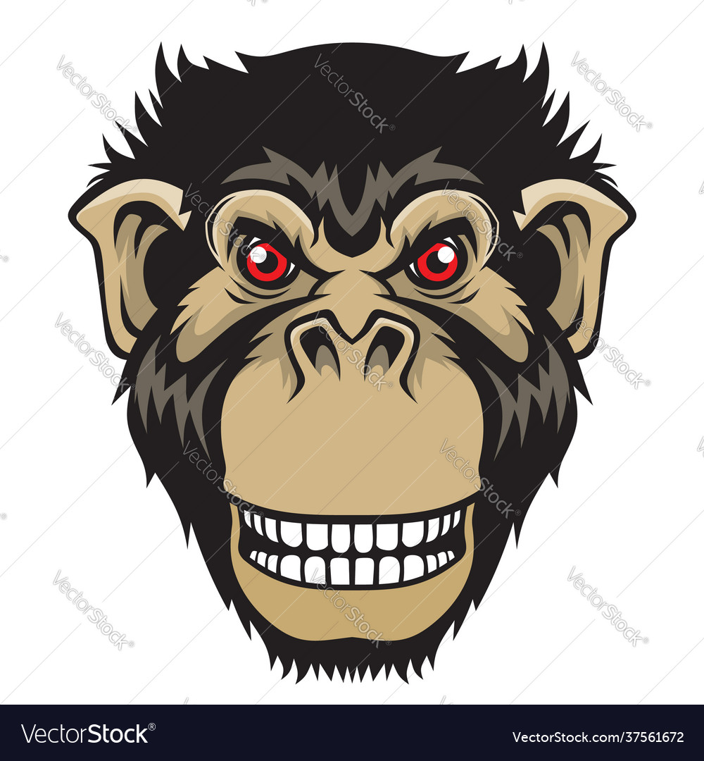 Cool monkey Royalty Free Vector Image - VectorStock