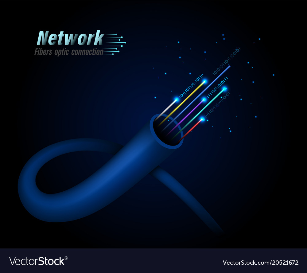 Fiber optic connection Royalty Free Vector Image