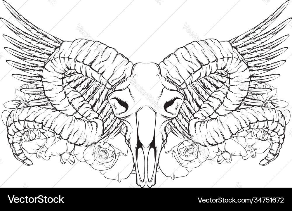 Hand drawn artwork with skull ram flowers Vector Image