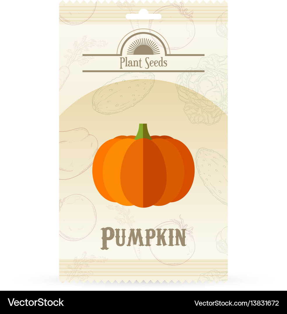 Pack of pumpkin seeds Royalty Free Vector Image