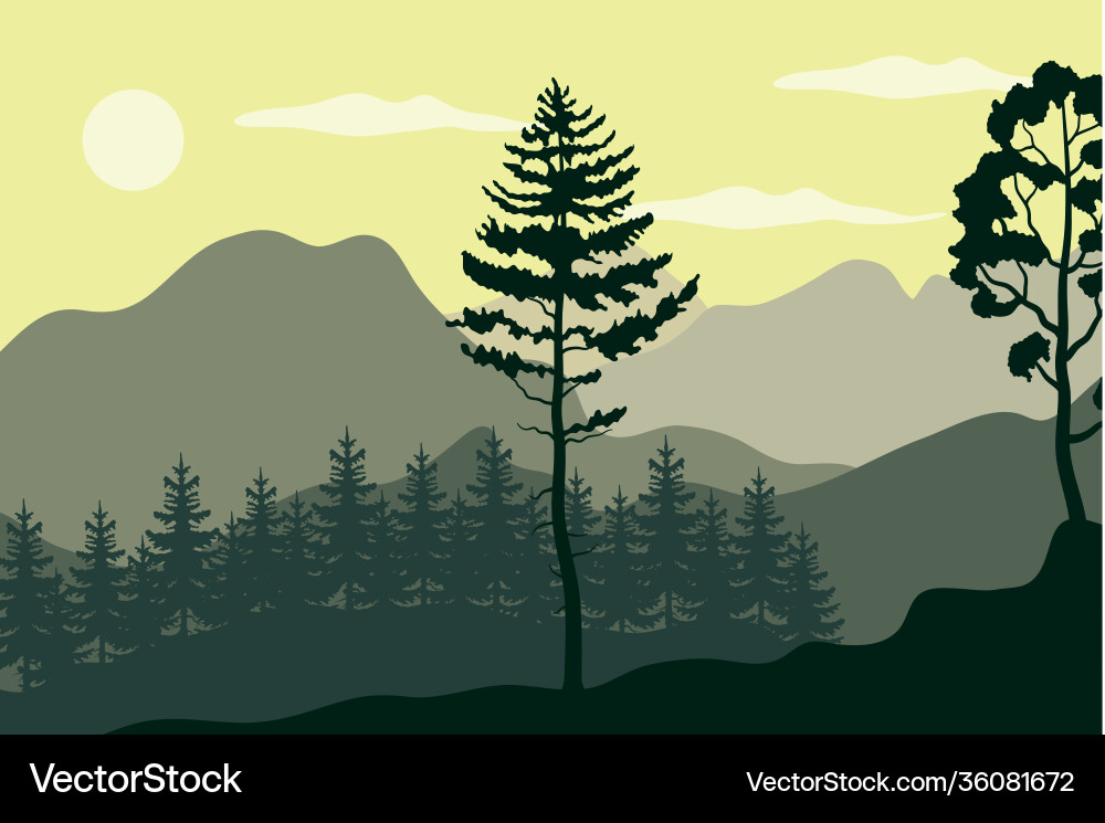 Pines trees plants in forest landscape scene Vector Image