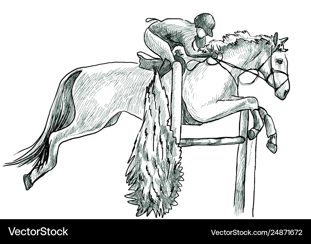 Show jumping hand drawn line art technique on Vector Image
