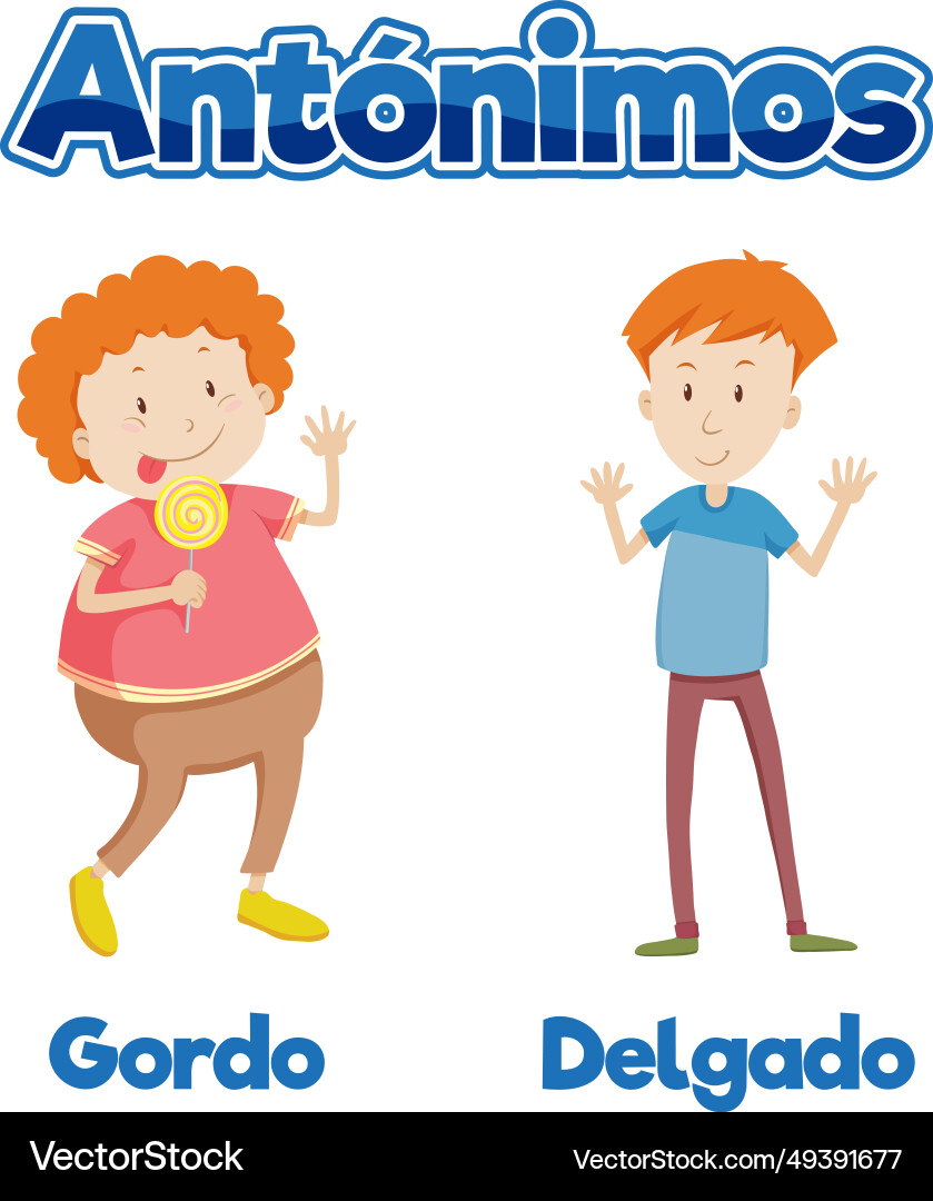 Spanish language education gordo and delgado Vector Image