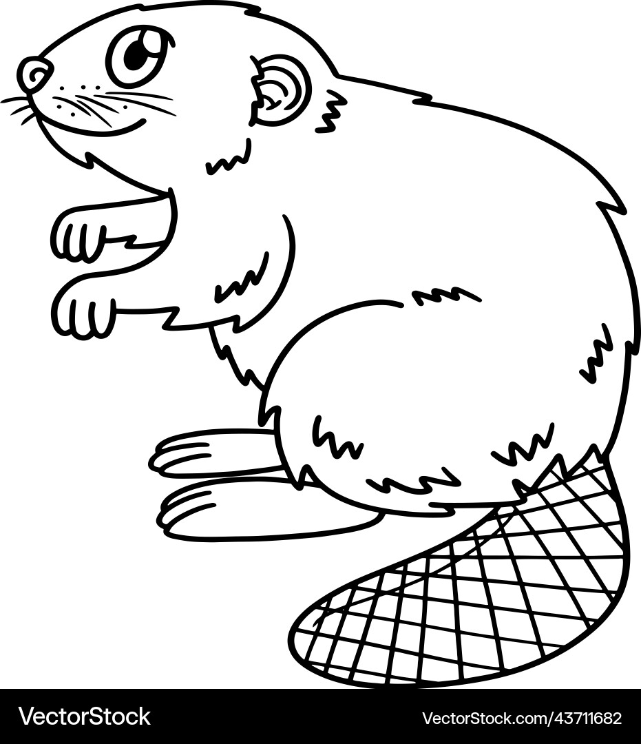 Beaver isolated coloring page for kids Royalty Free Vector