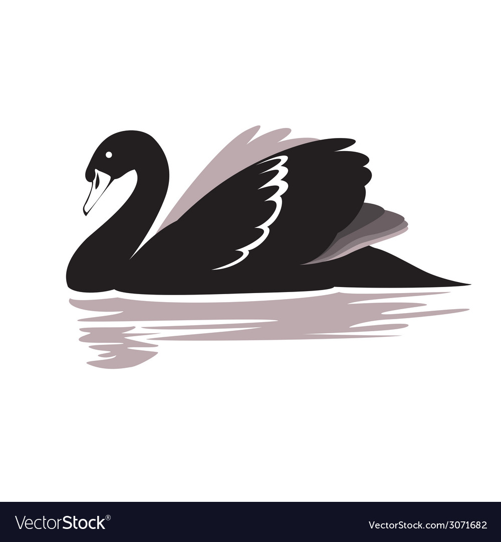 Swan Royalty Free Vector Image - VectorStock
