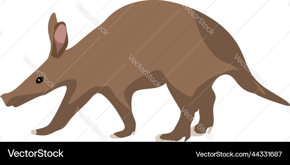 Aardvark animal on a white background Royalty Free Vector