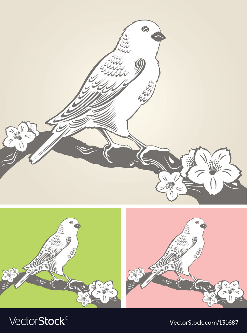 Bird Royalty Free Vector Image - VectorStock