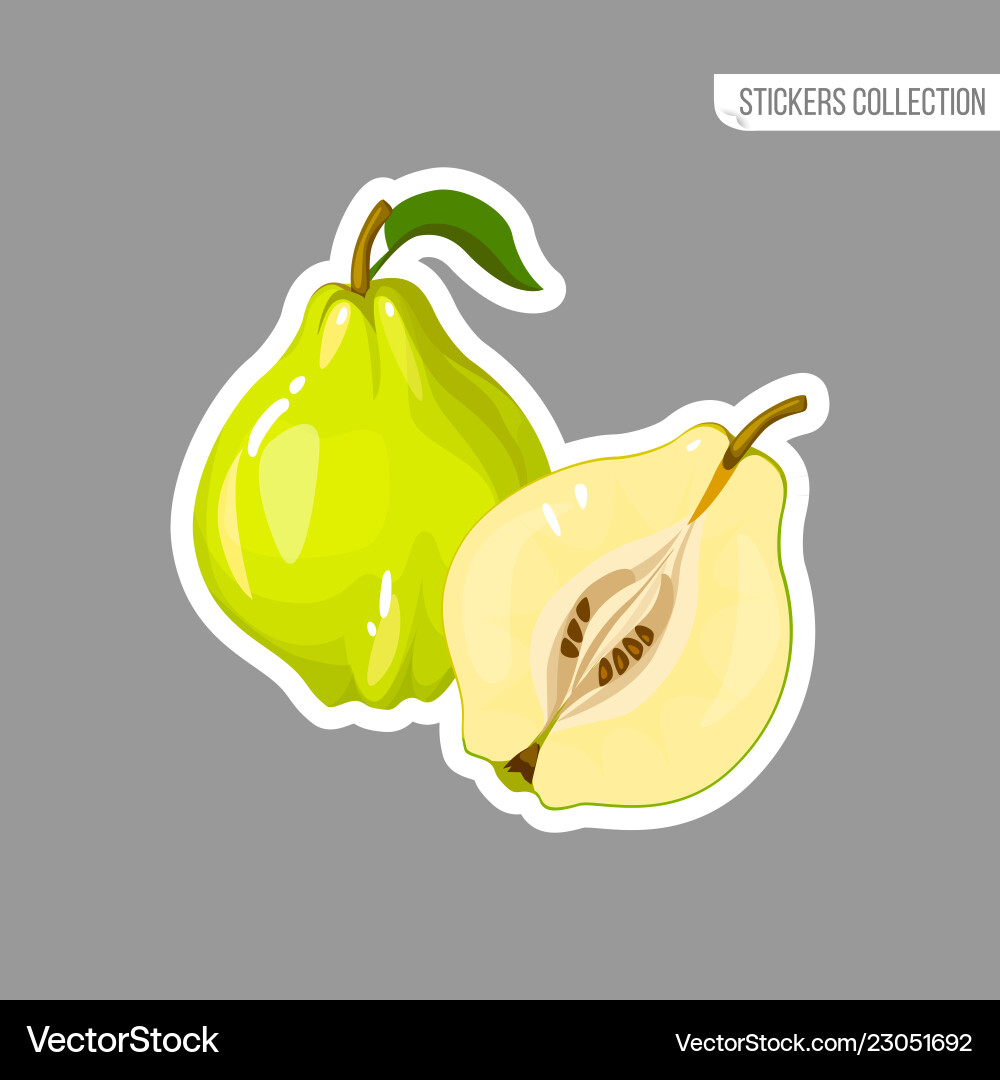 Cartoon fresh quince fruit isolated sticker Vector Image