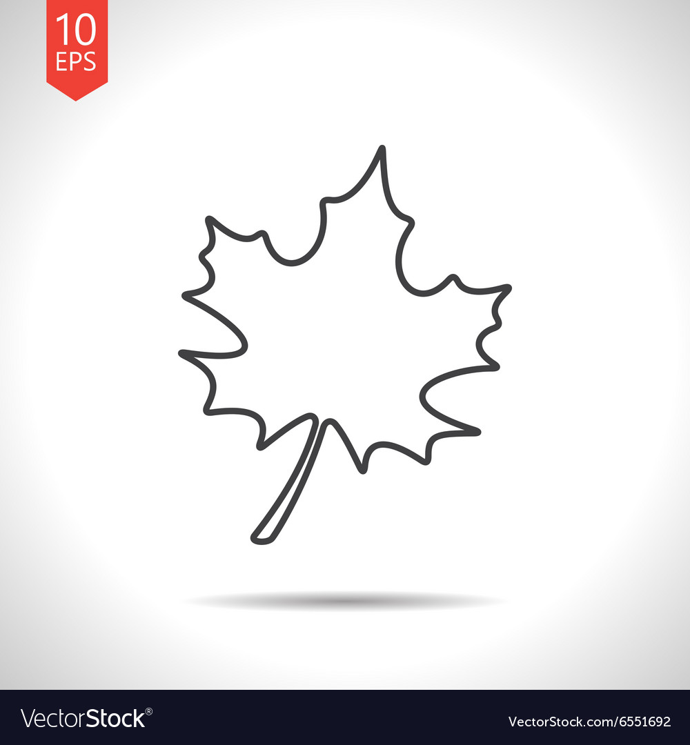 Maple leaf icon Royalty Free Vector Image - VectorStock