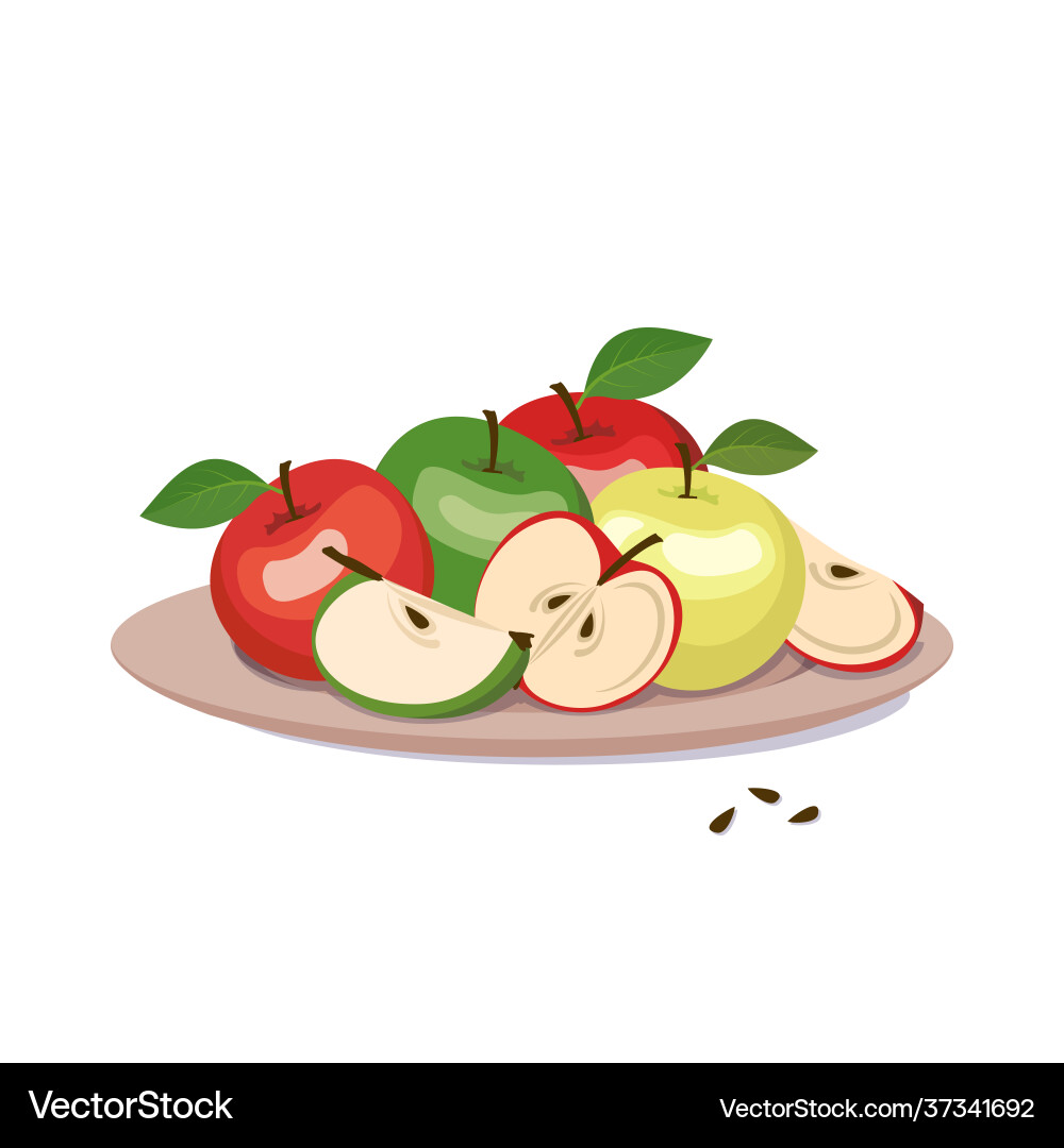Set red and green apples on a plate whole Vector Image