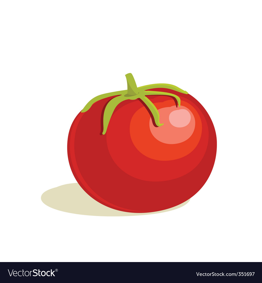 Tomato Royalty Free Vector Image - VectorStock